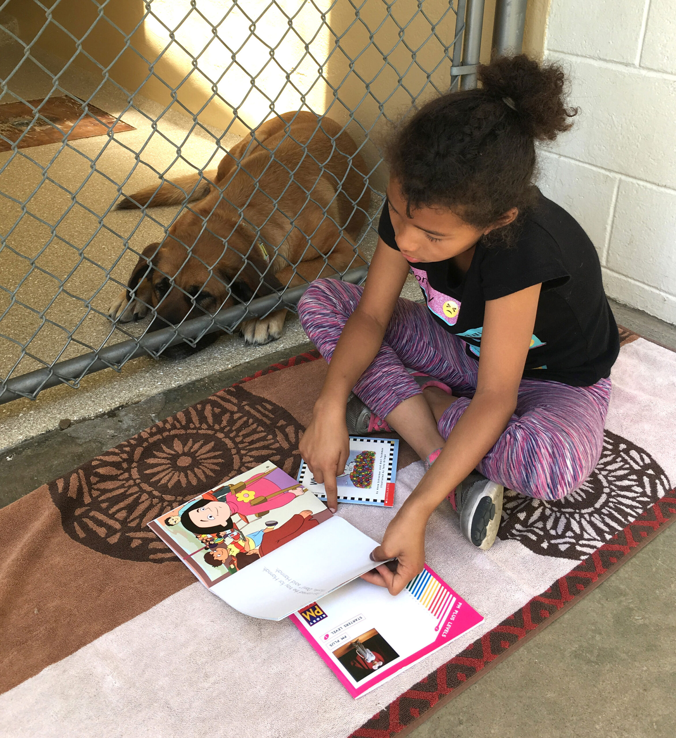 girl_reading_dog – Rancho Coastal Humane Society